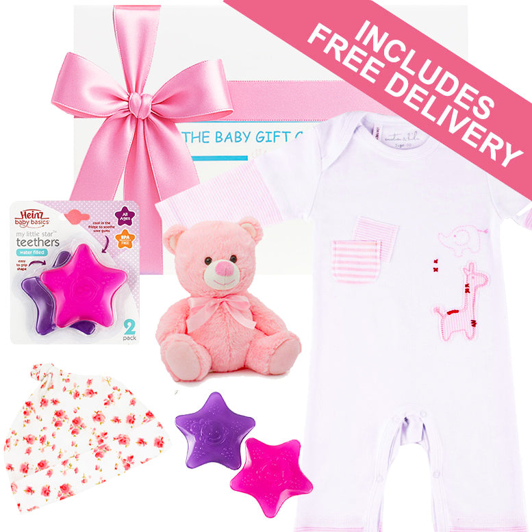 Big Softie Baby Girl Gift basket - Free Delivery Australia Baby Gifts