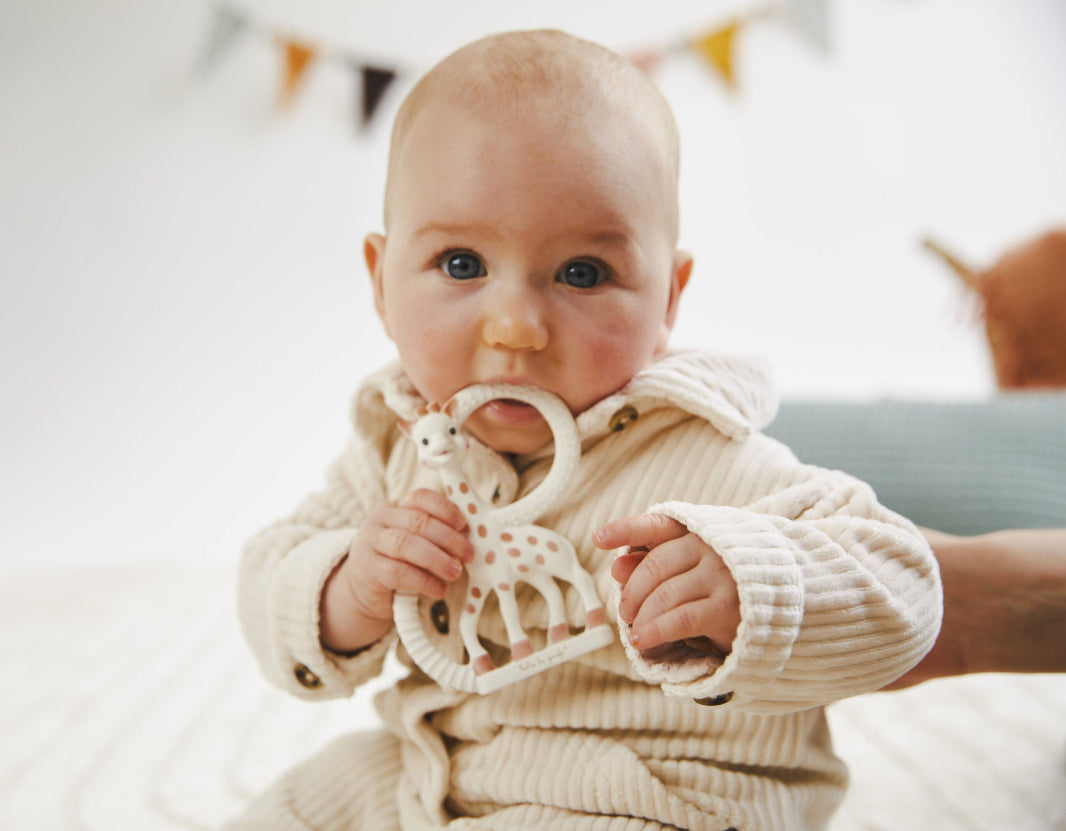 Sophie the Giraffe Teething Toy | Popular Baby Gift