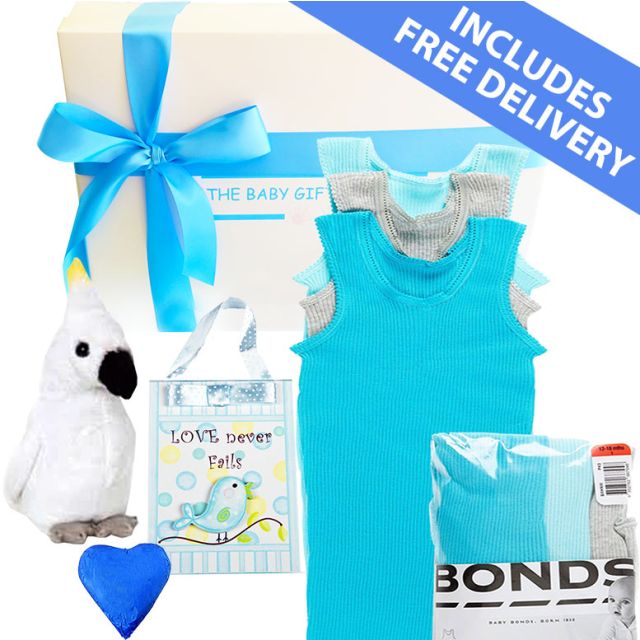 Bright Start Baby Boy Gift Basket, Free Postage Baby gifts